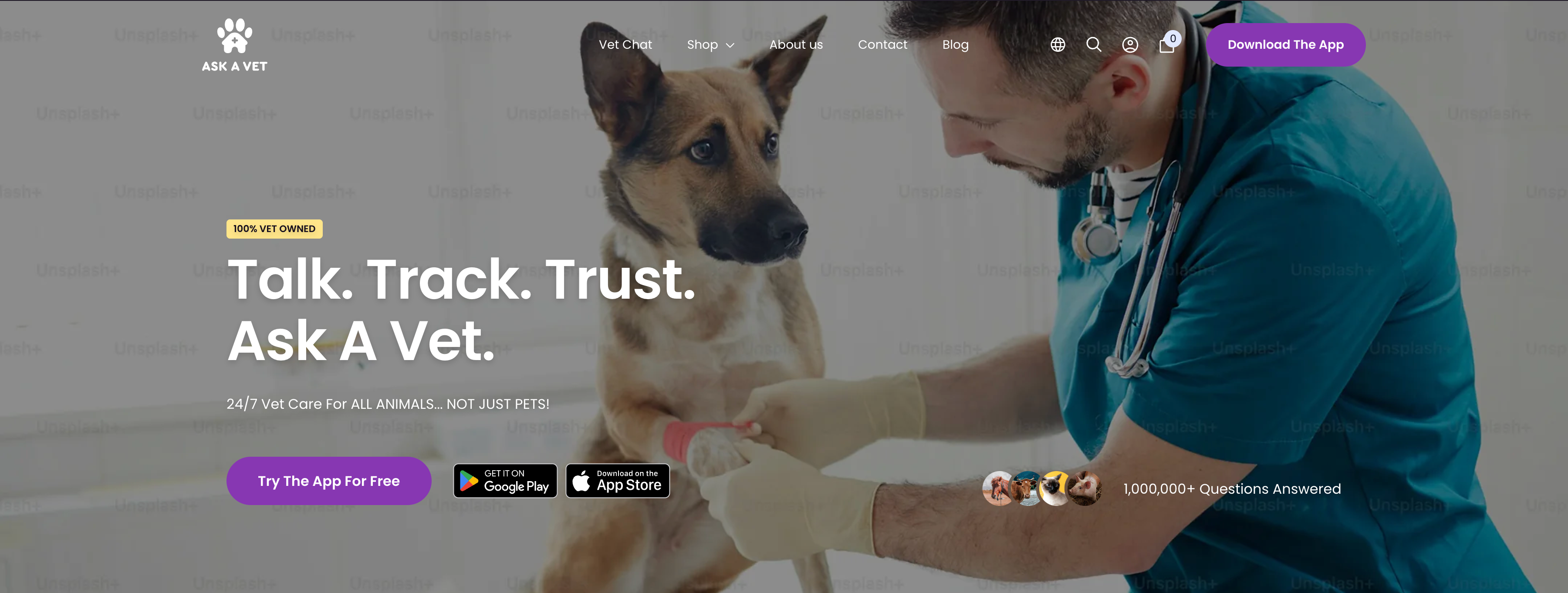 Ciprofloxacin for Pets: 2025 Veterinary Guide to Safety, Use, and Prec – Ask A Vet