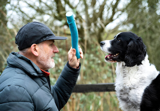 Essential Senior Dog Training Tools in 2025 – Vet‑Approved Gear & Guid ...