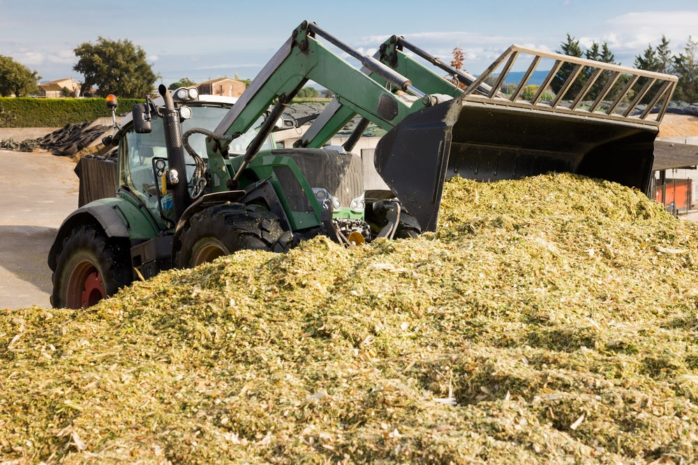 Hay Replacement Options for Horses: Vet-Recommended Solutions for 2025 ...
