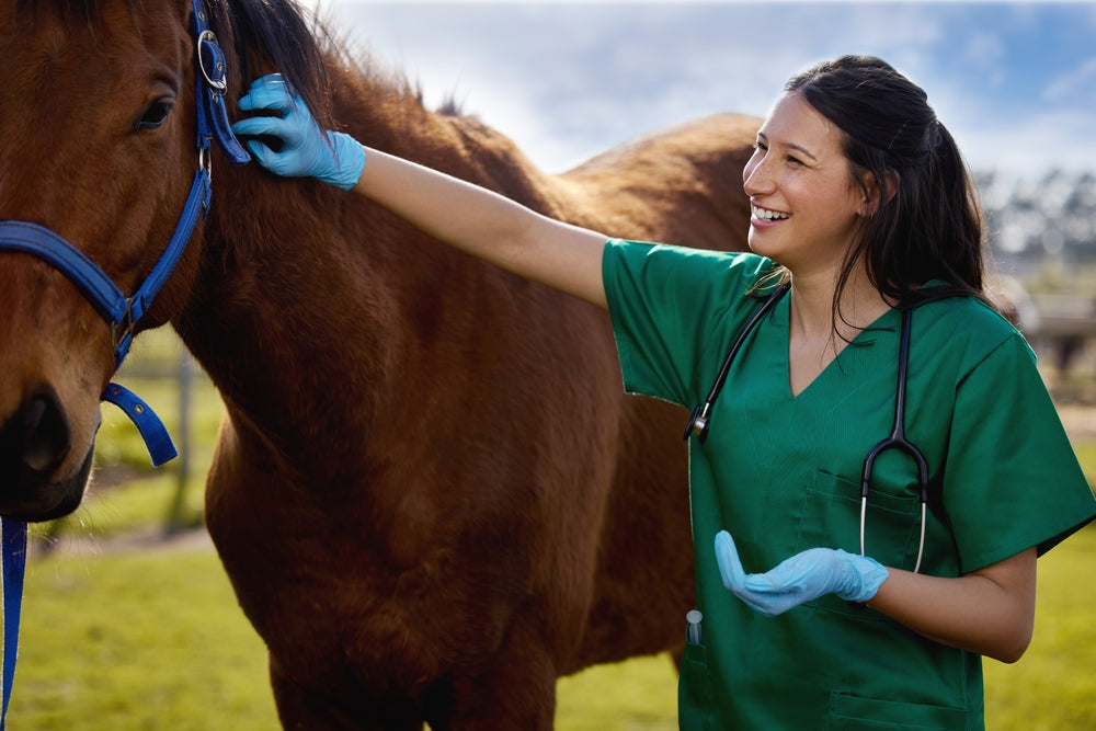 Vet Guide to Extra-Label Drug Use in Horses 🐴💊 | 2025 Legal, Safety ...